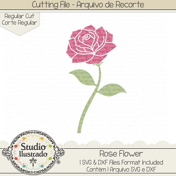 Rose Flower - Studio Ilustrado