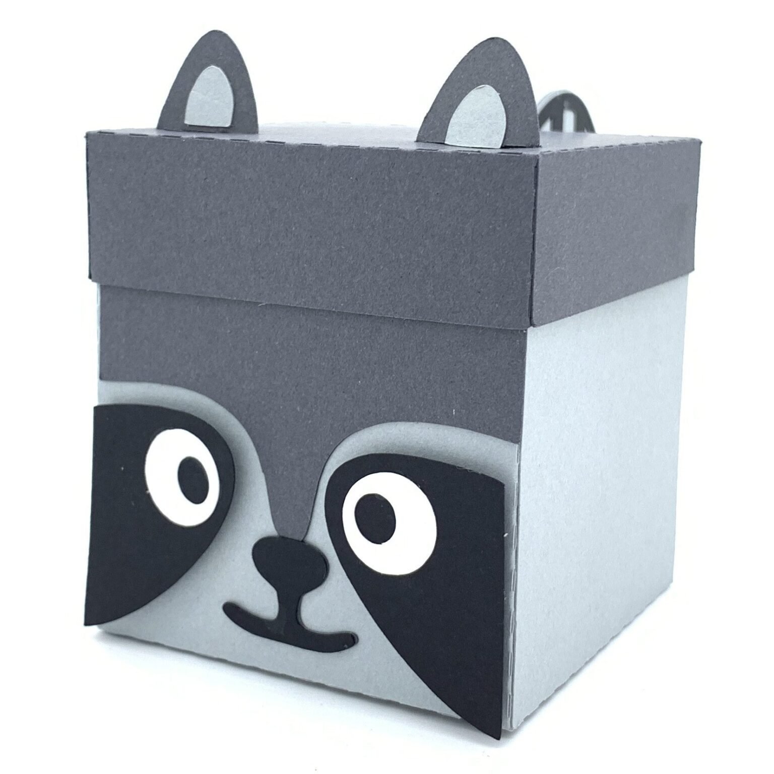 Raccoon Box - 3D - Arquivos de Recorte | Studio Ilustrado